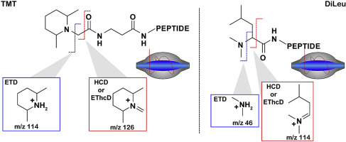 Improving data quality and preserving HCD-generated reporter ions with ...