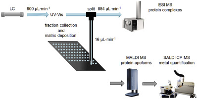 LC coupled to ESI, MALDI and ICP MS – A multiple hyphenation for ...