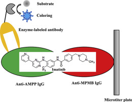 使用两种抗伊马替尼抗体的伊马替尼超特异且灵敏的夹心ELISA,Analytica Chimica Acta - X-MOL