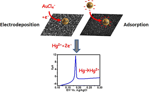 金纳米粒子电化学检测水中低浓度汞,Analytical Chemistry - X-MOL