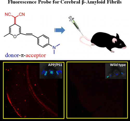 智能双氰基亚甲基-4H-吡喃为基础的荧光探针体内检测脑淀粉样蛋白原纤维。,Analytical Chemistry - X-MOL