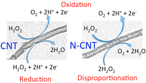 H2O2 Detection at Carbon Nanotubes and Nitrogen-Doped Carbon Nanotubes: Oxidation, Reduction, or ...