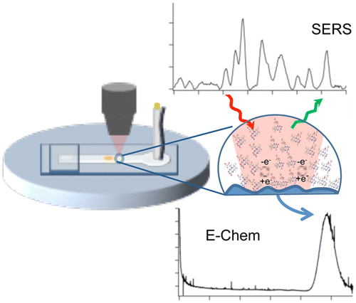 Sheath-Flow Microfluidic Approach for Combined Surface Enhanced Raman ...