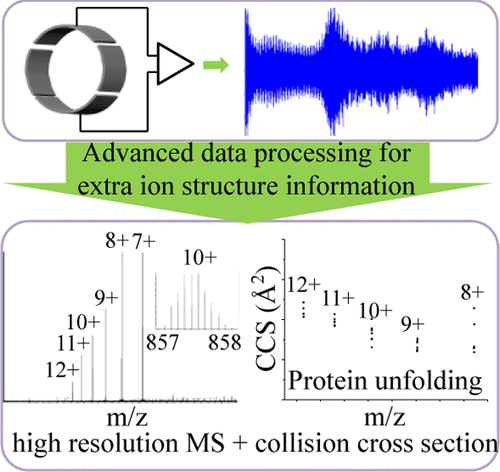 Collision Cross Section Measurements for Biomolecules within a High-Resolution Fourier Transform ...