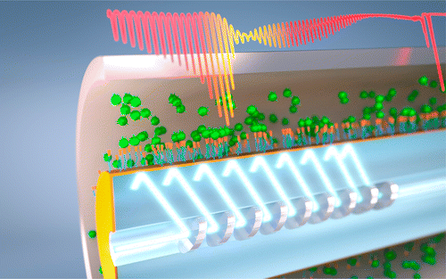 Fiber-Optic SPR Immunosensors Tailored To Target Epithelial Cells ...
