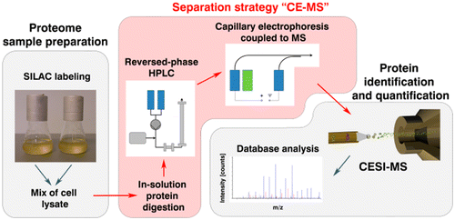 Quantitative Proteomics Using Ultralow Flow Capillary Electrophoresis ...