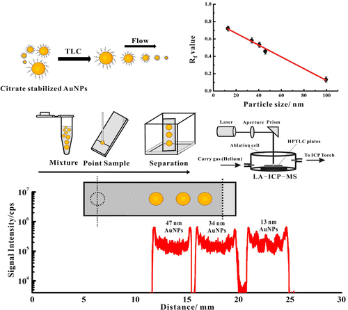 Quantitative Characterization of Gold Nanoparticles by Coupling Thin Layer Chromatography with ...