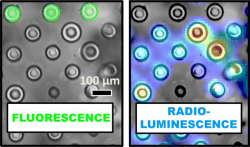 Single-Cell Analysis of [18F]Fluorodeoxyglucose Uptake by Droplet ...