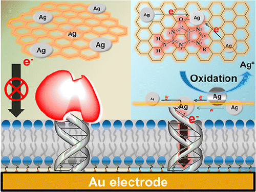Assembly of Selective Biomimetic Surface on an Electrode Surface: A ...