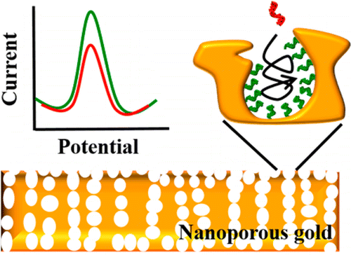 Effect of Nanoporous Gold Thin Film Morphology on Electrochemical DNA ...