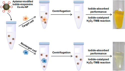 Iodide-Responsive Cu–Au Nanoparticle-Based Colorimetric Platform for ...