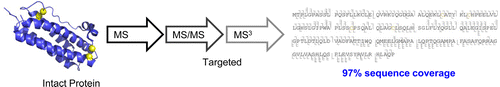 Primary Sequence Confirmation of a Protein Therapeutic Using Top Down ...