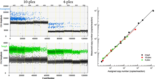 Multiplex Quantification of 12 European Union Authorized Genetically Modified Maize Lines with ...