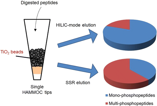 Extended Coverage of Singly and Multiply Phosphorylated Peptides from a ...