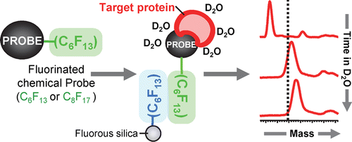 Tag and Capture Flow Hydrogen Exchange Mass Spectrometry with a ...