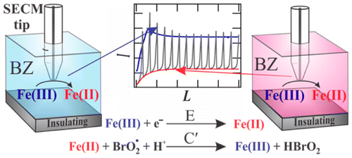 Scanning Electrochemical Microscopy of Belousov–Zhabotinsky Reaction ...