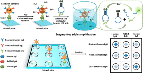 DLISA：基于DNA酶的ELISA用于多种分析物的无蛋白酶免疫测定,Analytical Chemistry - X-MOL