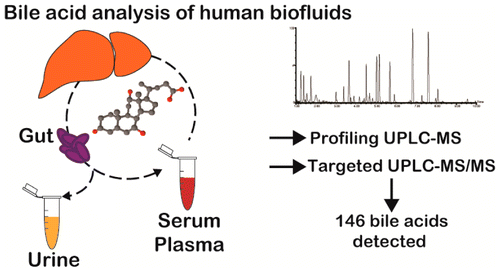 Bile Acid Profiling and Quantification in Biofluids Using Ultra ...