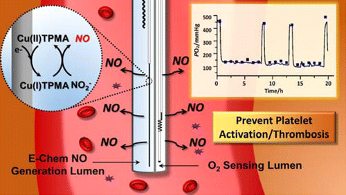 Improved in Vivo Performance of Amperometric Oxygen (PO2) Sensing ...