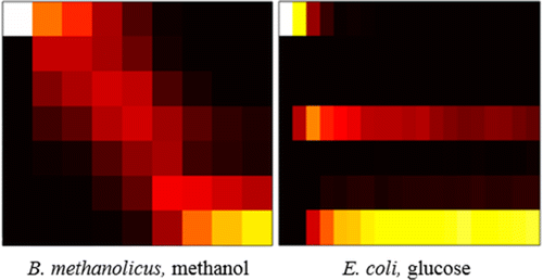 DynaMet: A Fully Automated Pipeline for Dynamic LC–MS Data,Analytical ...