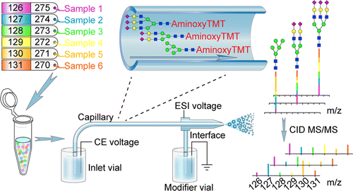Capillary Electrophoresis-Electrospray Ionization-Mass Spectrometry for ...