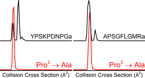 Penultimate Proline in Neuropeptides,Analytical Chemistry - X-MOL