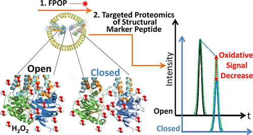 Development of Structural Marker Peptides for Cystic Fibrosis ...