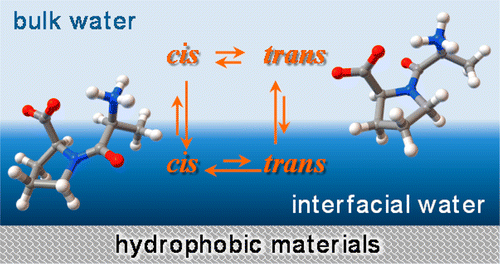 Determination of the cis–trans Isomerization Barriers of l-Alanyl-l ...