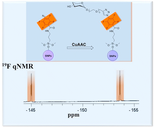 Quantitative Fluorine NMR To Determine Carbohydrate Density on ...