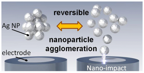 Reversible or Not? Distinguishing Agglomeration and Aggregation at the Nanoscale,Analytical ...