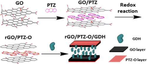 Biocomposite Based on Reduced Graphene Oxide Film Modified with ...