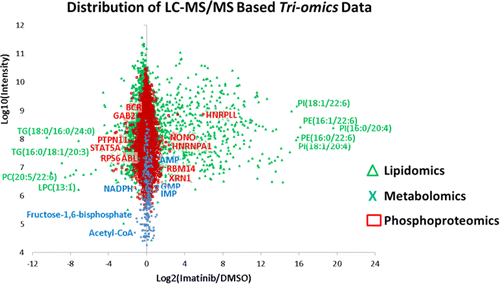 Triomics Analysis of Imatinib-Treated Myeloma Cells Connects Kinase ...