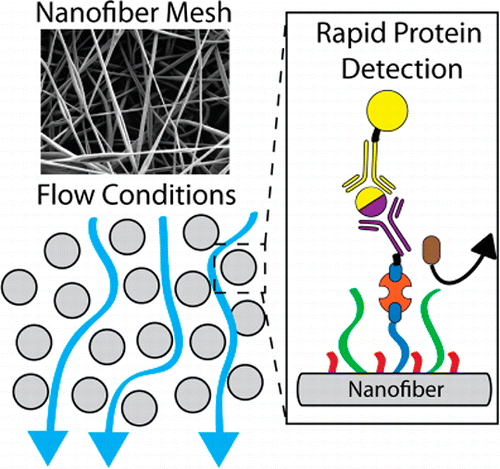 Functionalized Nanofiber Meshes Enhance Immunosorbent Assays,Analytical ...