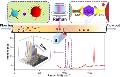 Surface Enhanced Raman Scattering Detection of Cancer Biomarkers with ...
