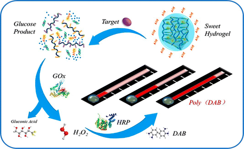 Microfluidic Distance Readout Sweet Hydrogel Integrated Paper-Based Analytical Device (μDiSH-PAD ...