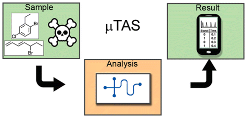 Micro Total Analysis Systems: Fundamental Advances and Applications ...