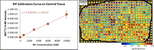 Absolute Quantitative MALDI Imaging Mass Spectrometry: A Case of ...