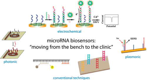 Emerging Biosensing Approaches for microRNA Analysis,Analytical ...