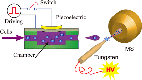 Single-Cell Analysis Using Drop-on-Demand Inkjet Printing and Probe ...