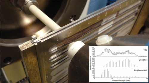 (Un)targeted Scanning of Locks of Hair for Drugs of Abuse by Direct ...