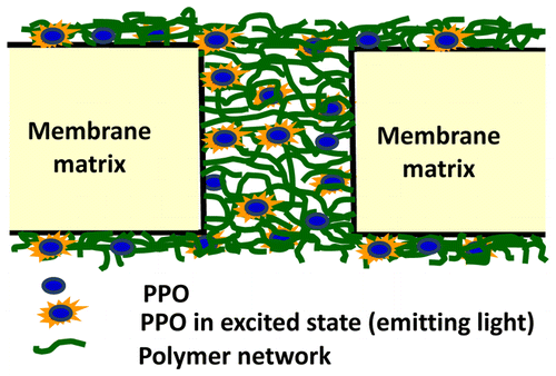 Pore-Filled Scintillating Membrane as Sensing Matrix for α-Emitting ...