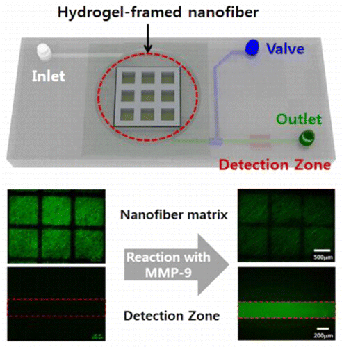 Hydrogel-Framed Nanofiber Matrix Integrated with a Microfluidic Device ...