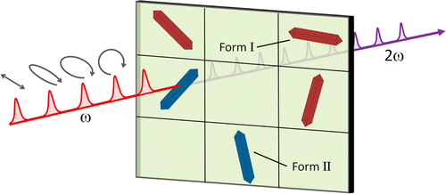 Rapid Discrimination of Polymorphic Crystal Forms by Nonlinear Optical ...