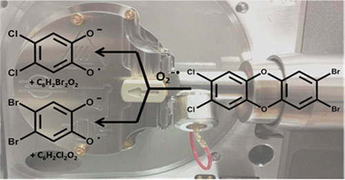 Differentiation of (Mixed) Halogenated Dibenzo-p-Dioxins by Negative ...