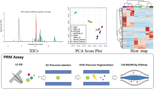 Development and Evaluation of a Parallel Reaction Monitoring Strategy for Large-Scale Targeted ...