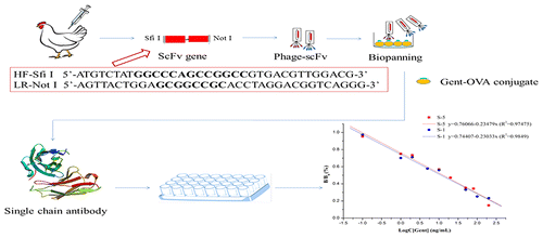 Preparation of a Chicken scFv to Analyze Gentamicin Residue in Animal ...