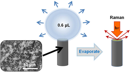 Raman Analysis of Dilute Aqueous Samples by Localized Evaporation of ...
