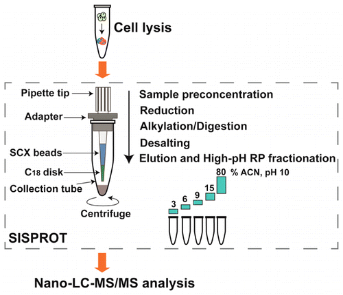 Simple and Integrated Spintip-Based Technology Applied for Deep ...