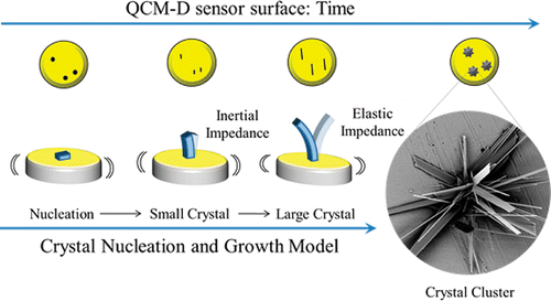 石英晶体微天平解释表面结晶的模型：理论与实验,Analytical Chemistry - X-MOL