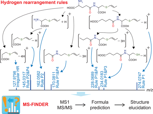 氢重排规则：使用 MS-FINDER 软件进行计算 MS/MS 裂解和结构解析,Analytical Chemistry - X-MOL